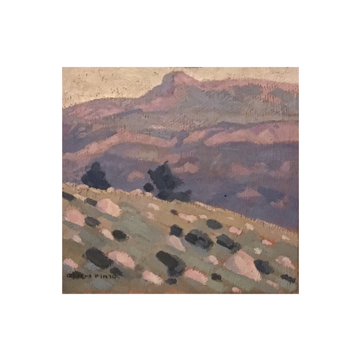 Octavio Pinto [1890-1941] Argentina impressionist painting “Landscape ...